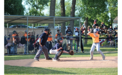 Webster Athletic Association > Home